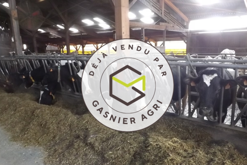 Exploitation laitière Mayenne (53) | Gasnier Agri