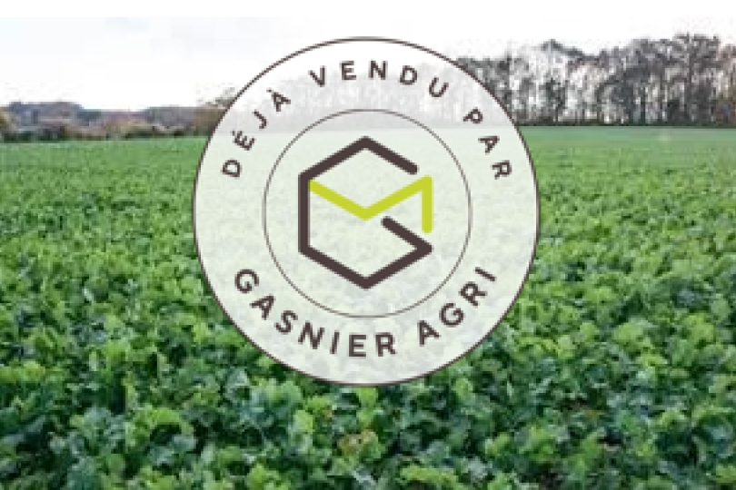 Vente exploitation maraîchère en France | Gasnier Agri