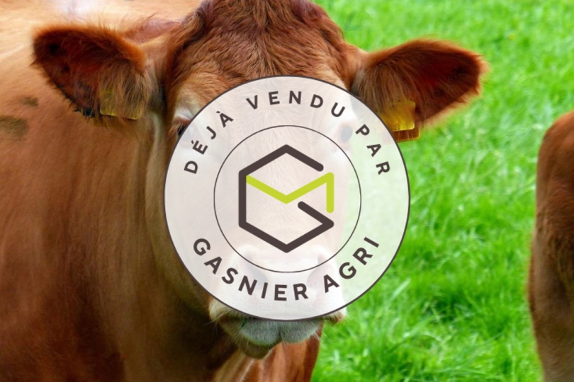 Exploitation laitière Côtes-d'Armor (22) | Gasnier Agri